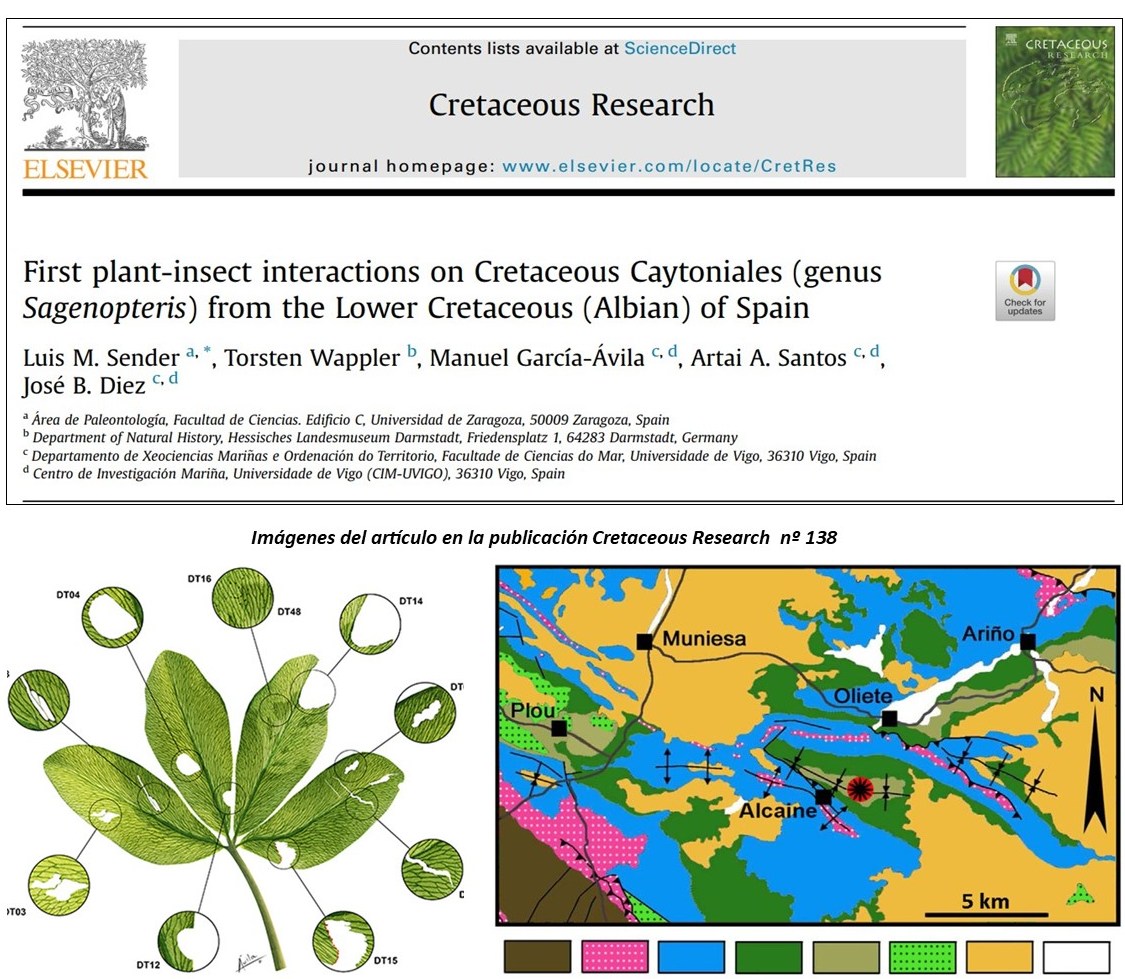 La revista Cretaceous Research publica un estudio sobre la interacción ...